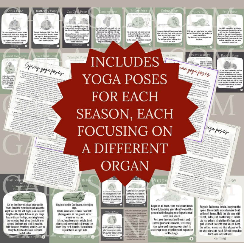 4 seasons yoga workshops digital download – Gaia Asana